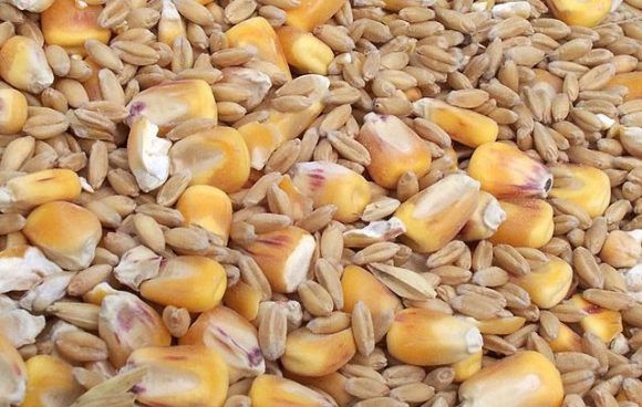 The small grains survey of September 1 to close Q3 of U.S. grain ...