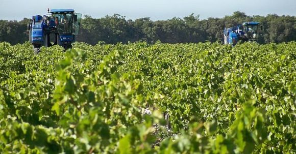 New Holland launches the new TE6 series of wading tractors for narrow ...