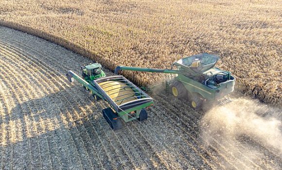 Farmtok spotlights farming as an iconic activity - Selina Wamucii ...