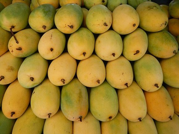 The Ghana mango sector evolves three-prong processing maximization ...