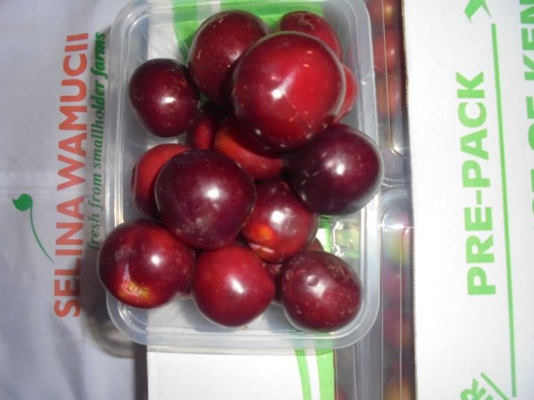 Kenya Plums & Sloes - Suppliers & Exporters