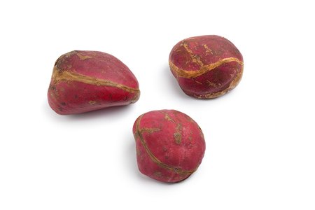 Uganda Kola Nuts | Exporter & Supplier - Good Prices