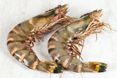 Mozambique Prawns and Shrimps | Exporter & Supplier - Good Prices