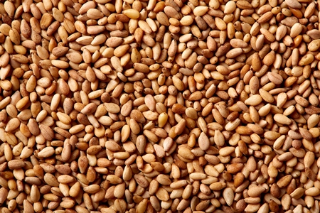 Mozambique Sesame | Exporter & Supplier - Good Prices