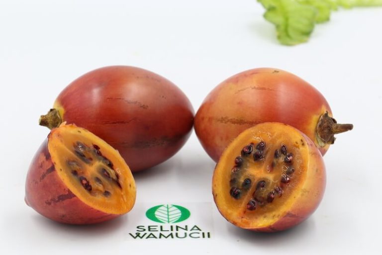 Tamarillo – All You Need to Know About Red, Yellow, and Dwarf Tamarillo ...